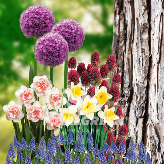 Deer Resistant Collection - Flower Bulb Information - TotalGreen Holland